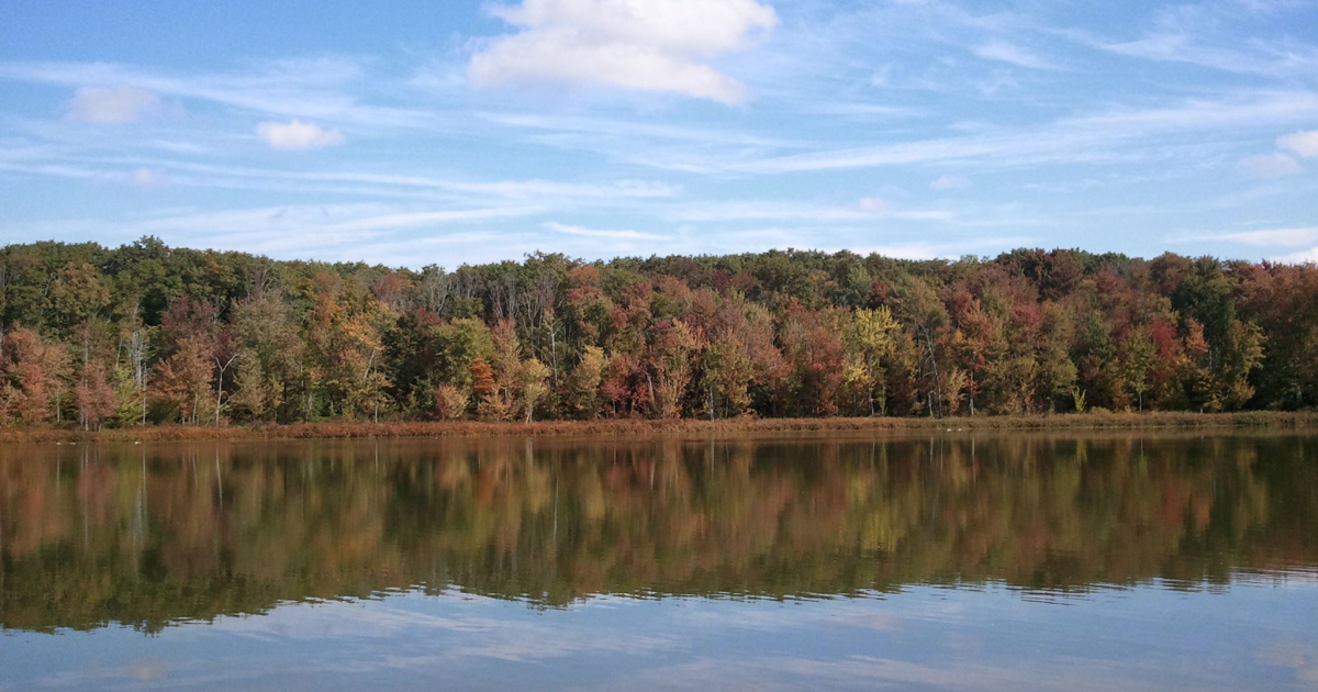Lake Whittaker Conservation Area | Visit Middlesex