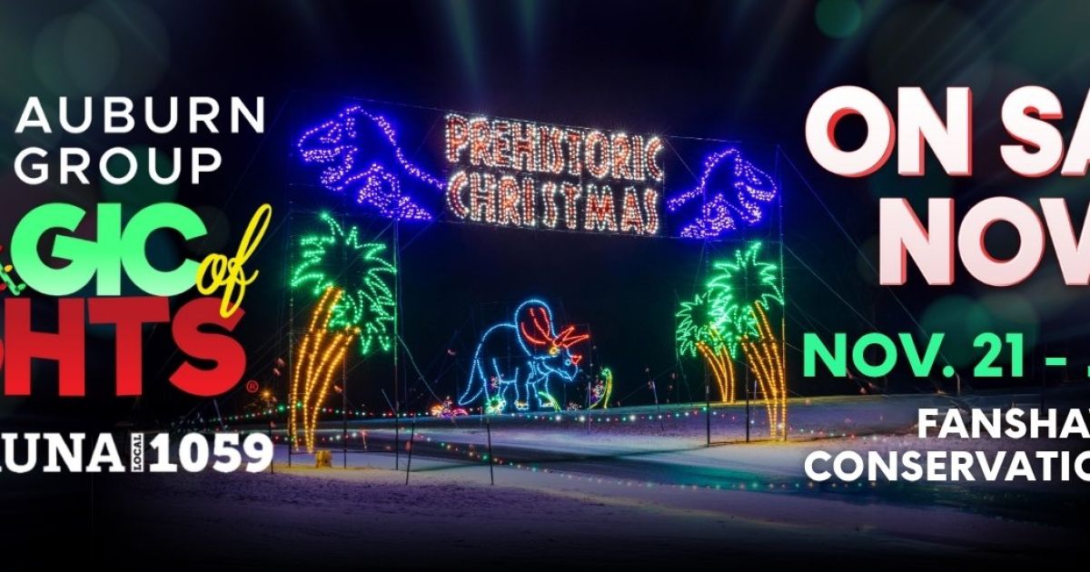 Magic of Lights | Visit Middlesex