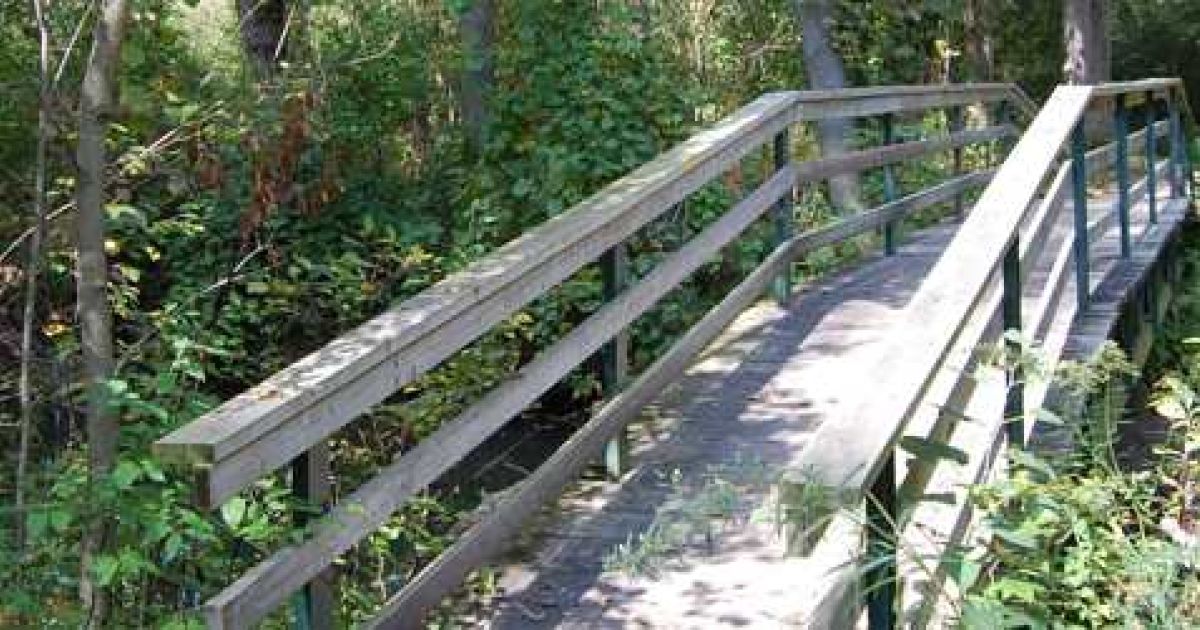 Strathroy Conservation Area | Visit Middlesex